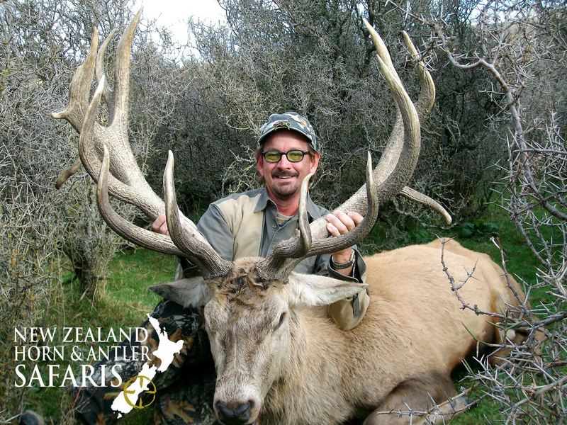 New Zealand Red Stag 320 to 360 past years | NZ Horn and Antler Safaris